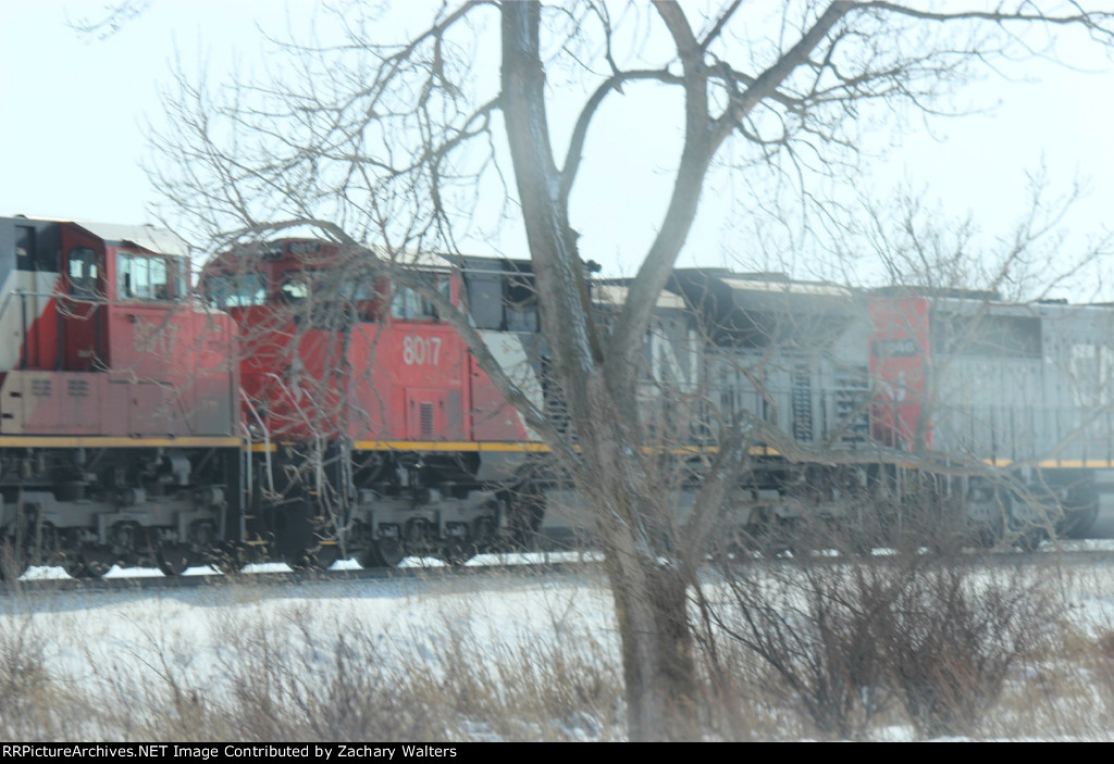 CN 8017